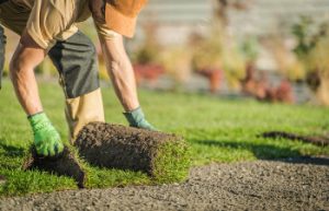 Can You Install Sod During the Summer in Atlanta, GA? | Atlanta, GA
